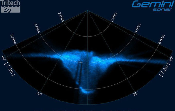 Gemini NBI - Tritech